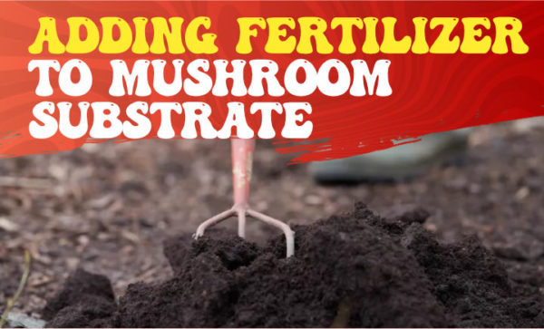 Choosing The Perfect Mushroom Substrate - Where's Shrooms