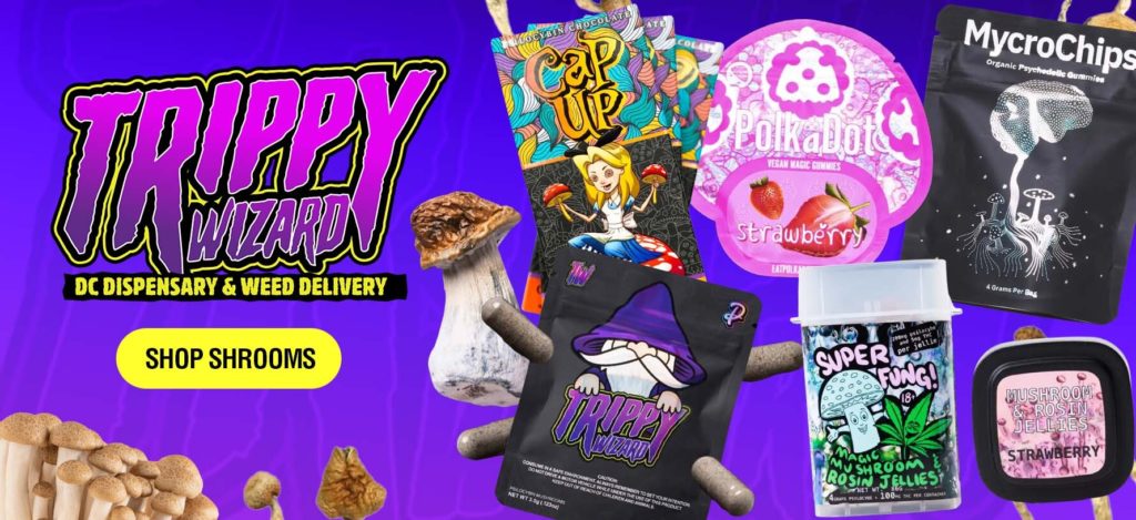 Best Shroom Dispensaries & Deliveries DC | Where's Shrooms