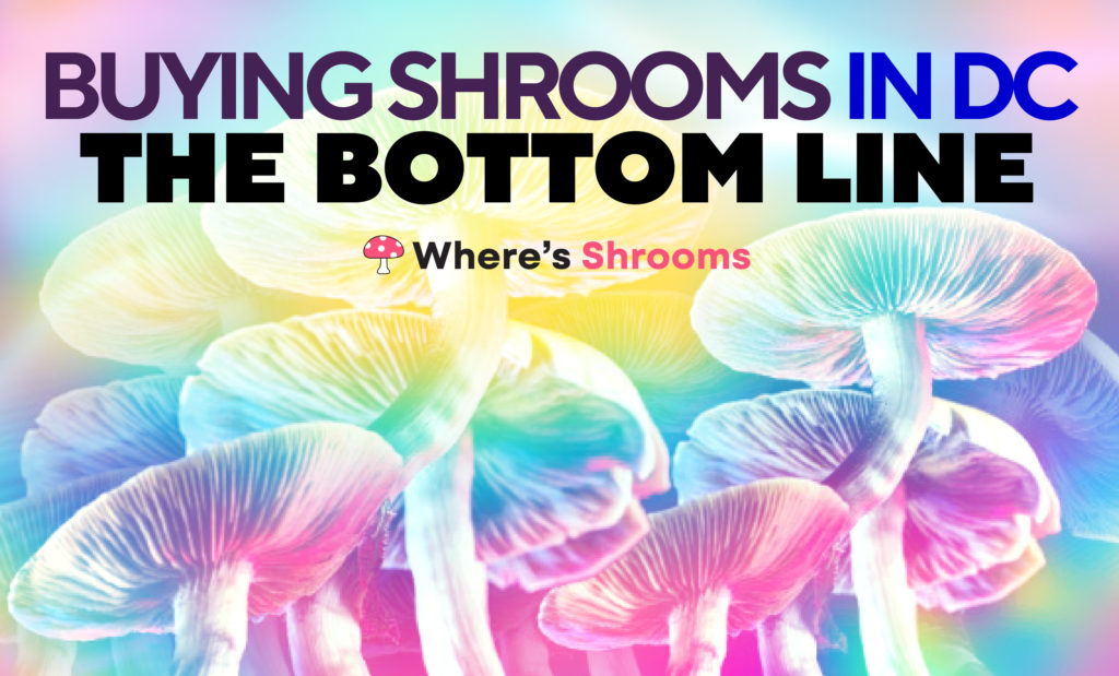 Best Shroom Dispensaries & Deliveries DC | Where's Shrooms